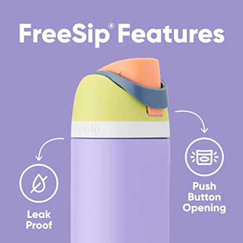 Owala FreeSip Insulated Stainless Steel Water Bottle with Straw for Sports and Travel, BPA-Free, 40-oz, Grayt