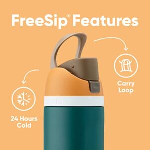 Owala FreeSip Insulated Stainless Steel Water Bottle with Straw for Sports and Travel, BPA-Free, 40-oz, Grayt