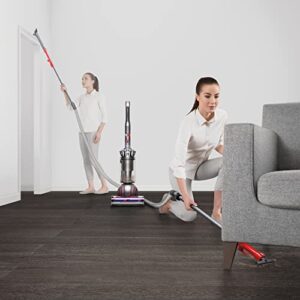 Dyson Ball Animal 3 Upright Vacuum Cleaner