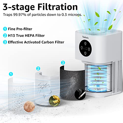 Air Purifiers for Pet,Tailulu Home Air Cleaner For Bedroom up to 600 sq.ft 22db with Fragrance Sponge for Dust Smoke Pollen Dander Hair Smell and Pet Odor, Small Air Cleaner for Office Living Room