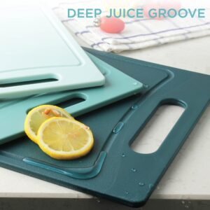 COOK WITH COLOR Cutting Board Set- 3 Pc. Kitchen Cutting Board Set - Large, Medium and Small Cutting Boards with Non Slip Bottom for Meat, Veggies, Fruits, Easy Grip Handle (Teal)