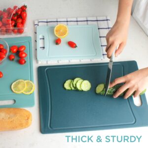 COOK WITH COLOR Cutting Board Set- 3 Pc. Kitchen Cutting Board Set - Large, Medium and Small Cutting Boards with Non Slip Bottom for Meat, Veggies, Fruits, Easy Grip Handle (Teal)