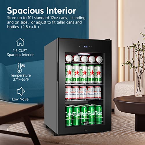 Tylza Mini Beverage Refrigerator Freestanding, 101 Cans Beverage Cooler with Glass Door, Mini Fridge for Soda, Water, Beer or Wine - For Home or Office with White Light, TYBC24