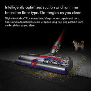 Dyson Outsize+ Cordless Vacuum Cleaner