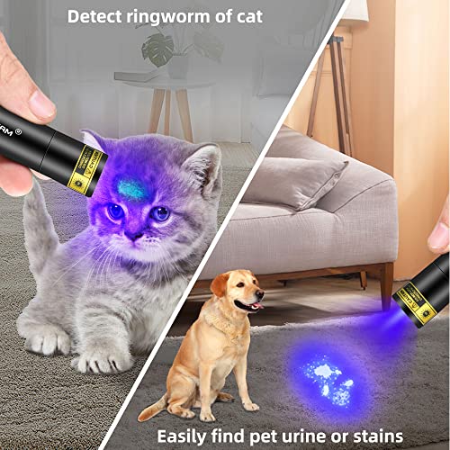 DARKBEAM UV 365nm Light Wood's lamp V4 USB Rechargeable Portable Blacklight LED Ultraviolet Flashlight Mini Pocket-Size, Detector for Pet Urine, Stains, Flurescent Material, Money Check, Amber 370nm