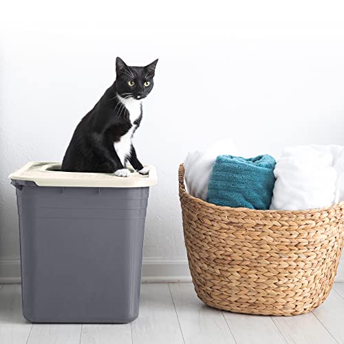 Amazon Basics Nonstick Top-Entry Cat Litter Box with Filter Lid, Large, Gray