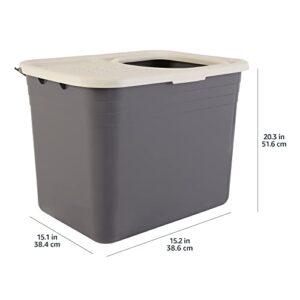 Amazon Basics Nonstick Top-Entry Cat Litter Box with Filter Lid, Large, Gray