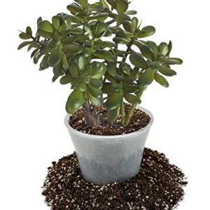 GARDENERA Premium Jade Plant Potting Soil Mix - (1 Quart Bag)