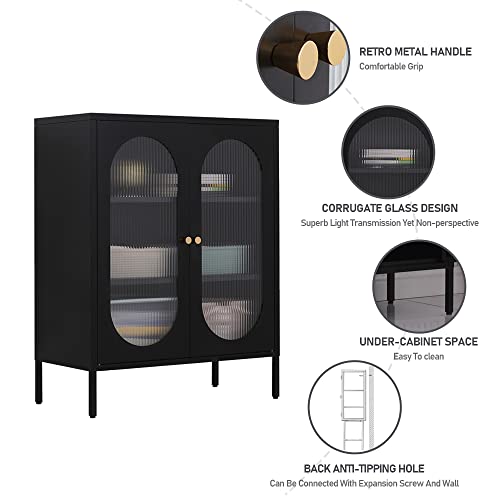 LINGZOE Black Storage Cabinet with Steel Frame and 2 Glass Door, Home Locker Sideboard Cabinet Organizer for Books, Magazines, DVDs Storage Shelf