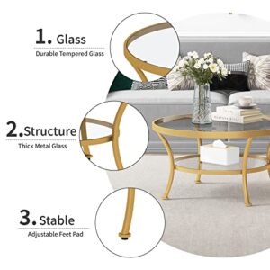 O&K FURNITURE Modern Round Coffee Table with Storage, 2-Tier Glass Top Coffee Table for Living Room, Gold