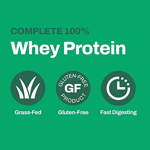 VITASAVE Whey Protein Powder Vanilla – 100% Whey Protein Powder, 25g Protein Per Serving – Grass-Fed, Gluten-Free, BCAAs, Amino Acids - 26 Servings, 832g Tub (Vanilla)