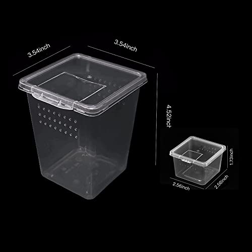 8pcs Small Reptile breeding Box Spider Terrarium freeding Box for arboreal Tarantula Scorpion Sling Lizards Mantis Jumping Spider Snail Insect Isopods (4high+4small)