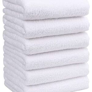 Orighty 6 Pack Premium Hand Towels - Ultra Soft & Highly Absorbent - Microfiber Coral Velvet for Bathroom, Gym, Shower, Spa, Quick Drying Hand Towel 15 x 25 inches (White)