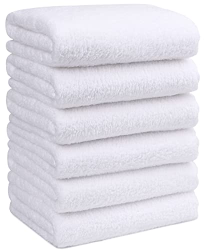 Orighty 6 Pack Premium Hand Towels - Ultra Soft & Highly Absorbent - Microfiber Coral Velvet for Bathroom, Gym, Shower, Spa, Quick Drying Hand Towel 15 x 25 inches (White)