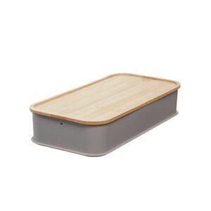 idesign recycled plastic 16.9" medium storage bin with bamboo lid, bpa-free, porpoise