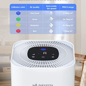 2 pcs HEPA Air Purifiers for Home Large Room, CADR 400+ m³/h up to 1720sqft + CADR 300+ m³/h up to 1290sqft…