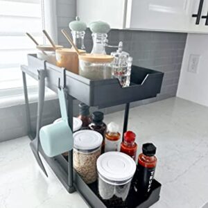 Elnaz Hamai 2 Tier Slide Out Storage Shelf Kitchen Organizer