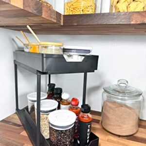 Elnaz Hamai 2 Tier Slide Out Storage Shelf Kitchen Organizer