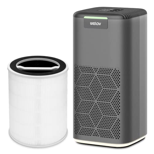 Welov P200S Air Purifiers for Home Large Room with An Extra H13 True HEPA Filter Bundle