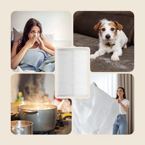 Welov P200S Air Purifiers for Home Large Room with An Extra H13 True HEPA Filter Bundle