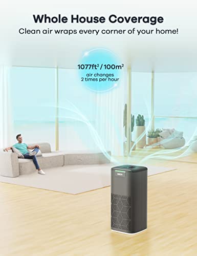 Welov P200S Air Purifiers for Home Large Room with An Extra H13 True HEPA Filter Bundle