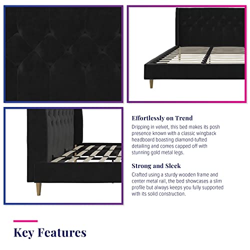 Novogratz The Her Majesty Upholstered Bed, King, Black Velvet