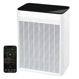 abacad air purifiers for home large room, h13 true hepa filter for removes 99.9% of allergy pet dander dust pollen smoke, air cleaner for home bedroom living room