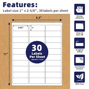 POLYSELLS 1"x2-5/8" Self Adhesive Address Labels, 30-UP Blank Shipping Labels, FUSKU, FBA Mailing Labels for Inkjet and Laser Printer, 3000 Sticker Labels (100 Sheets), 30 Labels per Sheet