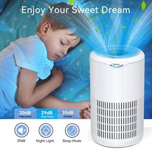 Air Purifiers for Home Large Room Up to 1345 Ft², Tailulu H13 True HEPA Air Cleaner Purify Smoke Dust Pollen Pet Hair Allergies for Bedroom Living Room Kitchen Office, Air Filter with Sleep Mode