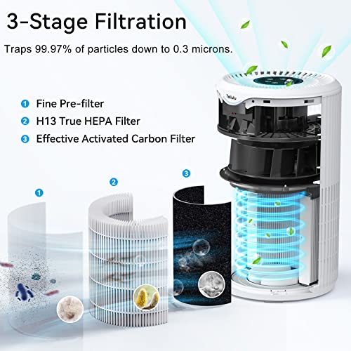 Air Purifiers for Home Large Room Up to 1345 Ft², Tailulu H13 True HEPA Air Cleaner Purify Smoke Dust Pollen Pet Hair Allergies for Bedroom Living Room Kitchen Office, Air Filter with Sleep Mode