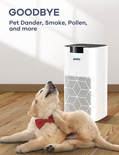 Ganiza Air Purifiers for Home Large Room Pets Dander Pollen dust allerg*ns Smoke, 23dB Less Noise, Ozone Free, H13 HEPA Filter