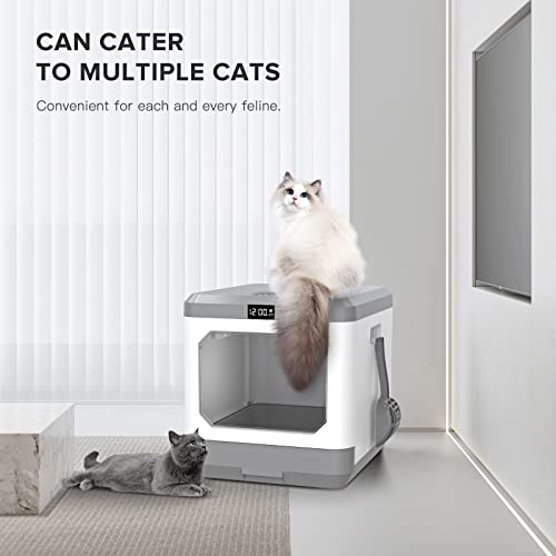 Smart Odor Removal Cat Litter Box, Large Litter Box with Deodorizing Device for Multiple Cats,Non Leaking Kitty Litter Box, Enclosed Odor Control Cat Box with Scoop&Mat