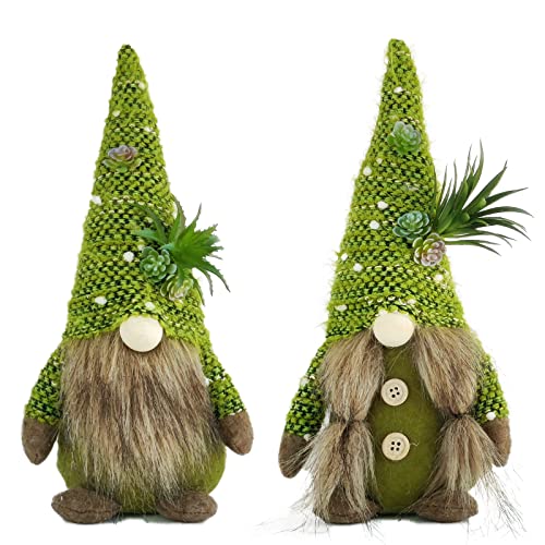 Mailin 2Pcs Succulent Gnomes Plush Green Gnomes Decorations for Home Tiered Tray Decor Farmhouse Decor Tomte Scandinavian Gnomes Dolls Gift for Plant Lover