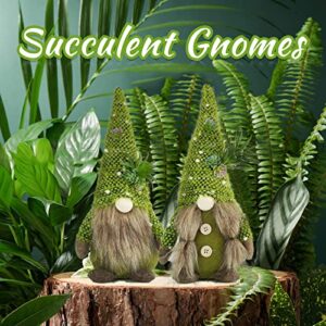 Mailin 2Pcs Succulent Gnomes Plush Green Gnomes Decorations for Home Tiered Tray Decor Farmhouse Decor Tomte Scandinavian Gnomes Dolls Gift for Plant Lover