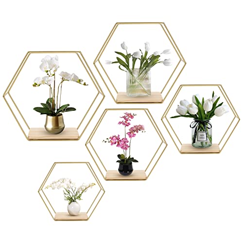 Wall Mounted Hexagonal Floating Shelves Set of 5 in Different Sizes, Modern Metal Wall Shelf, Simple Wood Partition Storage Shelves, Gold Wall Decor Rack for Bedroom, Living Room, Kitchen and Office