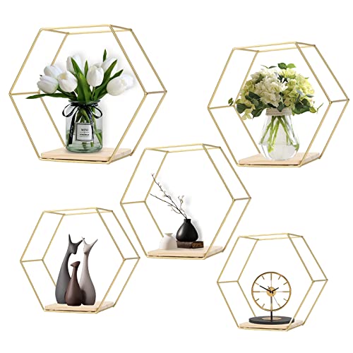 Wall Mounted Hexagonal Floating Shelves Set of 5 in Different Sizes, Modern Metal Wall Shelf, Simple Wood Partition Storage Shelves, Gold Wall Decor Rack for Bedroom, Living Room, Kitchen and Office