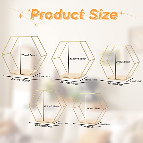 Wall Mounted Hexagonal Floating Shelves Set of 5 in Different Sizes, Modern Metal Wall Shelf, Simple Wood Partition Storage Shelves, Gold Wall Decor Rack for Bedroom, Living Room, Kitchen and Office