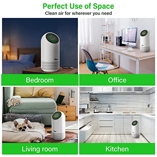 Air Purifier for Home Kitchen Office, H13 True HEPA Filter, 880ft² Coverage, 24dB Sleep Mode, Remove 99.99% Pet Odors, Dust, Pollen, Smoke, with Filter Reminder