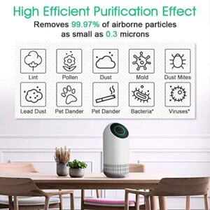 Air Purifier for Home Kitchen Office, H13 True HEPA Filter, 880ft² Coverage, 24dB Sleep Mode, Remove 99.99% Pet Odors, Dust, Pollen, Smoke, with Filter Reminder