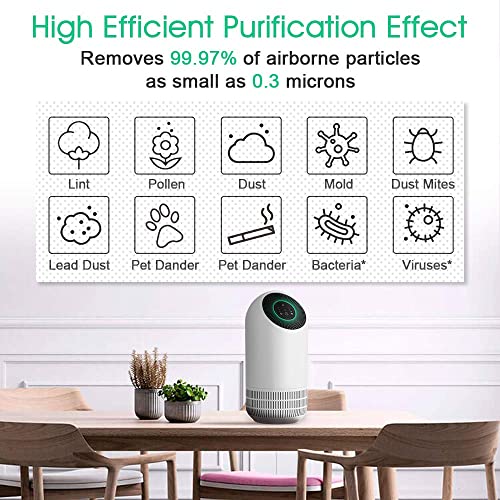 Air Purifier for Home Kitchen Office, H13 True HEPA Filter, 880ft² Coverage, 24dB Sleep Mode, Remove 99.99% Pet Odors, Dust, Pollen, Smoke, with Filter Reminder