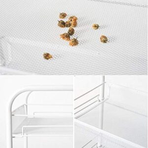 ATAAY Rolling Utility Wire Shelves and Easy Glideer Wheels/White