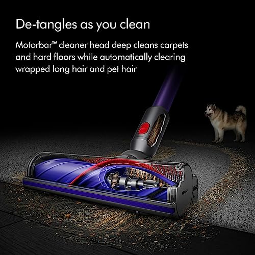 Dyson Cyclone V10 Animal Origin Cordless Vacuum Cleaner