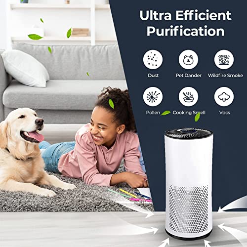 Air Purifier for Home Bedroom Office Desktop Pet Room Air Cleaner for Car with True HEPA Filters and Silence white plus