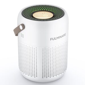 fulminare air purifiers for home, h13 true hepa air purifiers for bedroom,pets,office, portable small air filters quiet air cleaner remove 99.97% 0.01 microns dust, smoke, pollen, odor, particles