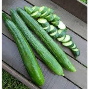 CHUXAY GARDEN China Jade Cucumber Seed 500 Seeds Edible Green Vegetable High Germination Rate Wonderful Choice for Garden