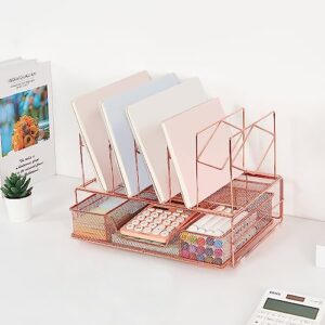 LEKETREE Rose Gold Desk Organizer with Drawers, Office Supplies for Women, Desk Organization with 5 Upright Sections, Desk Accessories & Workspace Organizers