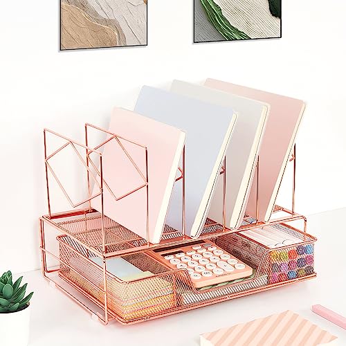 LEKETREE Rose Gold Desk Organizer with Drawers, Office Supplies for Women, Desk Organization with 5 Upright Sections, Desk Accessories & Workspace Organizers