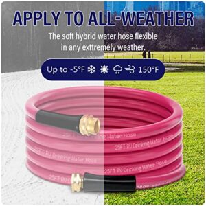 PAULINN 10Ft Garden Hose: 5/8 Inch Drinking Water Hose, 10 Feet Flexible Lightweight Garden Watering Equipment for All-weather, Outdoor, Lawn, Backyard - Rose Red