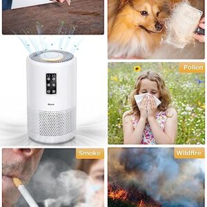 Air Purifiers for Home Large Room with Night Light up to 1076ft², VEWIOR H13 True HEPA Air Cleaner with Fragrance Sponge, Sleep Mode, Timer, Speed, Lock, for Wildfire Smoke Pet Dust Pollen Odor