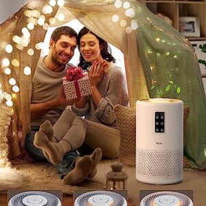 Air Purifiers for Home Large Room with Night Light up to 1076ft², VEWIOR H13 True HEPA Air Cleaner with Fragrance Sponge, Sleep Mode, Timer, Speed, Lock, for Wildfire Smoke Pet Dust Pollen Odor